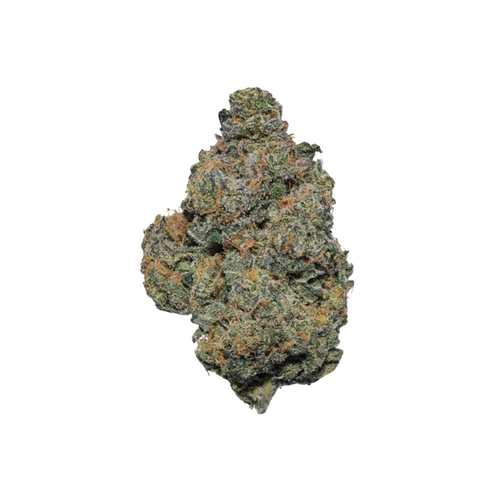 New Arrivals – Sticky Green Flower